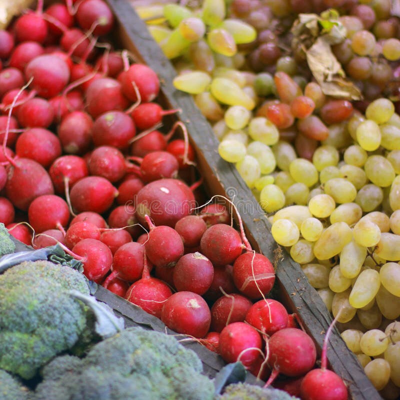 Harvest. Radish, Cabbage and Grapes Stock Image - Image of vegetarian ...