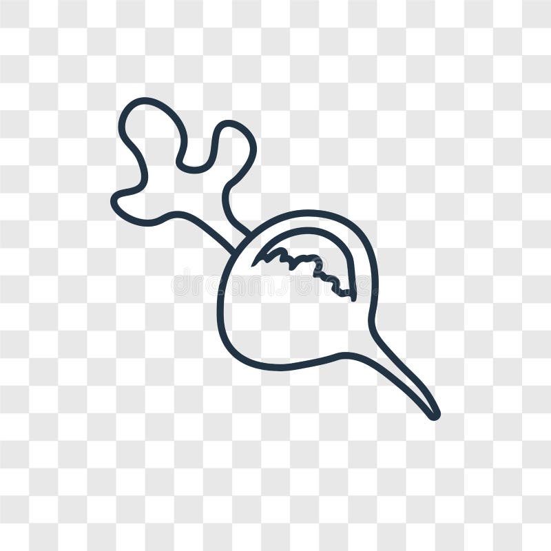 Radish Concept Vector Linear Icon Isolated on Transparent Background ...