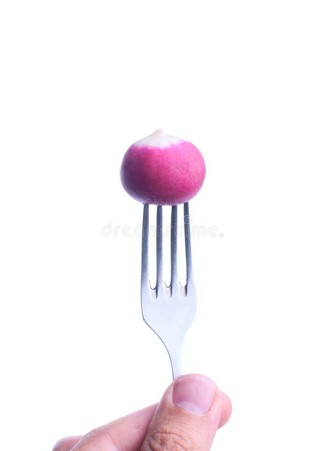 Radish on a fork isolated stock photo. Image of gardening - 32260410