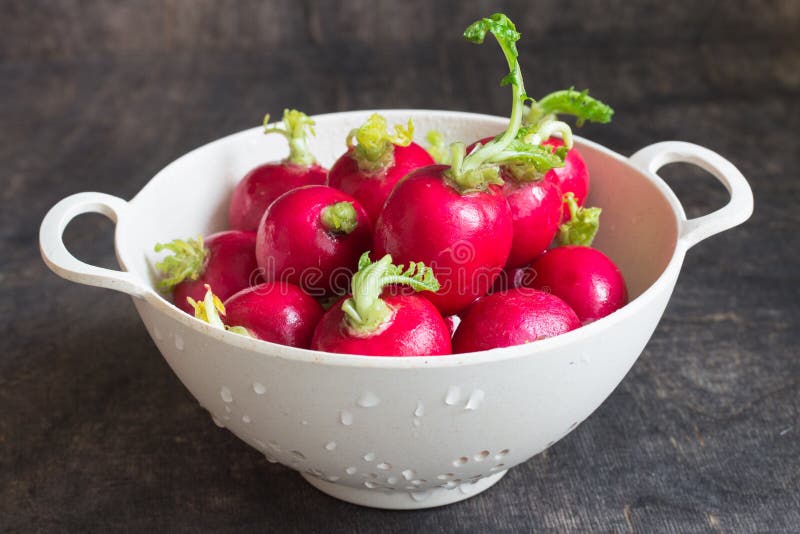 Radish. stock photo. Image of vegan, healthy, plants - 84503596