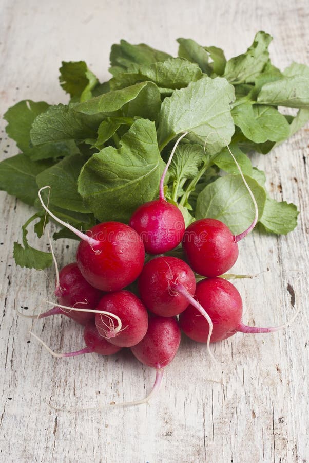 Radish stock image. Image of organic, food, healthy, isolated - 40145531