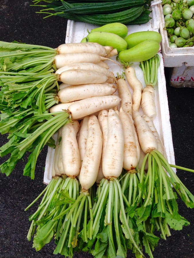 Radish editorial stock image. Image of cooking, radish - 55769239