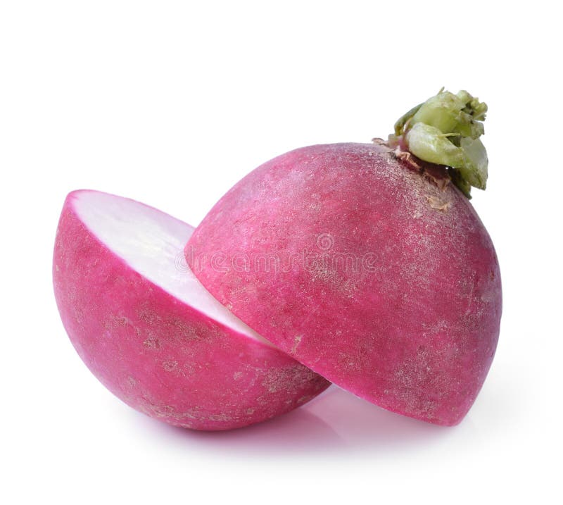 Radish Isolated on White Background Stock Photo - Image of plant ...