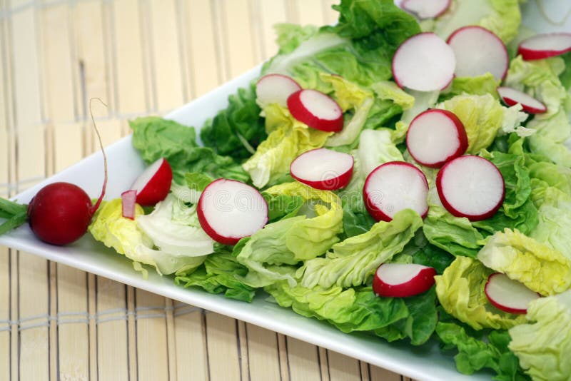 Radish and lettuce salad stock image. Image of veggies - 4839621