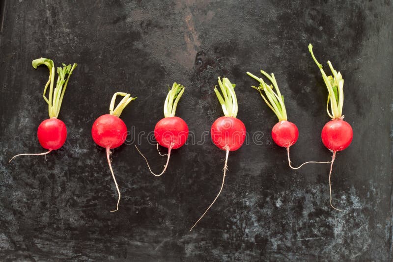 Radish stock photo. Image of organic, garden, natural - 66705586