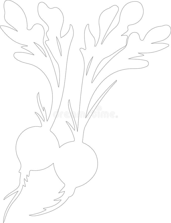 Radish Outline Stock Illustrations – 2,728 Radish Outline Stock ...