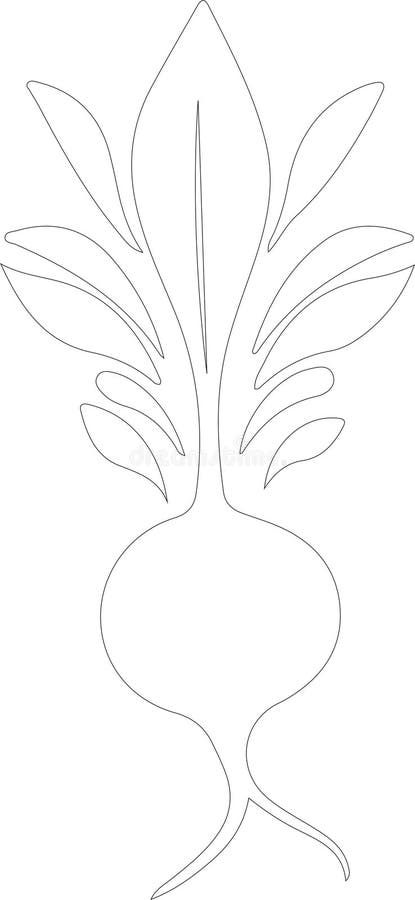 Radish Outline Silhouette Generative Ai Stock Vector - Illustration of ...