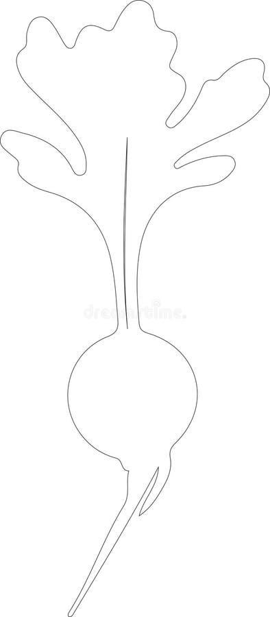 Radish Outline Silhouette Generative Ai Stock Vector - Illustration of ...