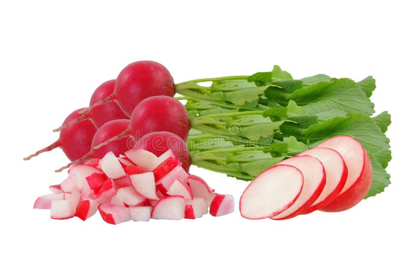 Radish stock photo. Image of food, road, slices, small - 32508942