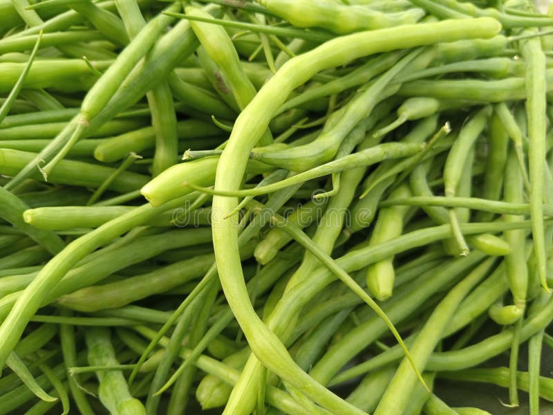 Moongre Seeds Stock Photos - Free & Royalty-Free Stock Photos from ...