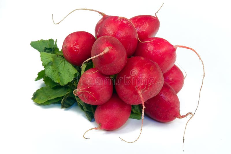 Cheerful radish mice stock photo. Image of cooking, balance - 14585812