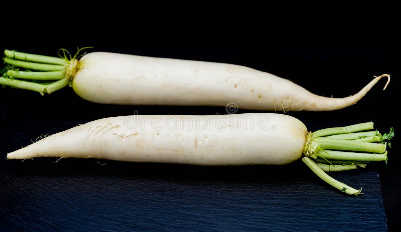 Radish root vegetable stock photo. Image of long, garden - 222746072