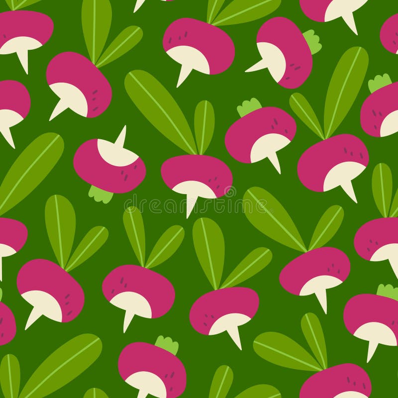 Radish Seamless Pattern. Fresh Pink and Green Vegetable Print for ...
