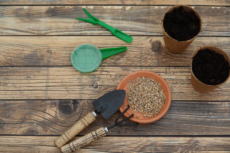 Radish Seeds for Sowing. Sowing Tools with Urban Vegetable Garden ...