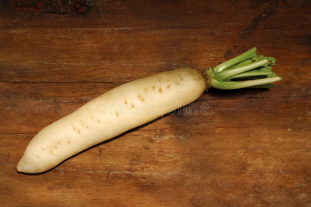 Radish Single Head on a Wooden Stock Image - Image of cooking, gourmet ...