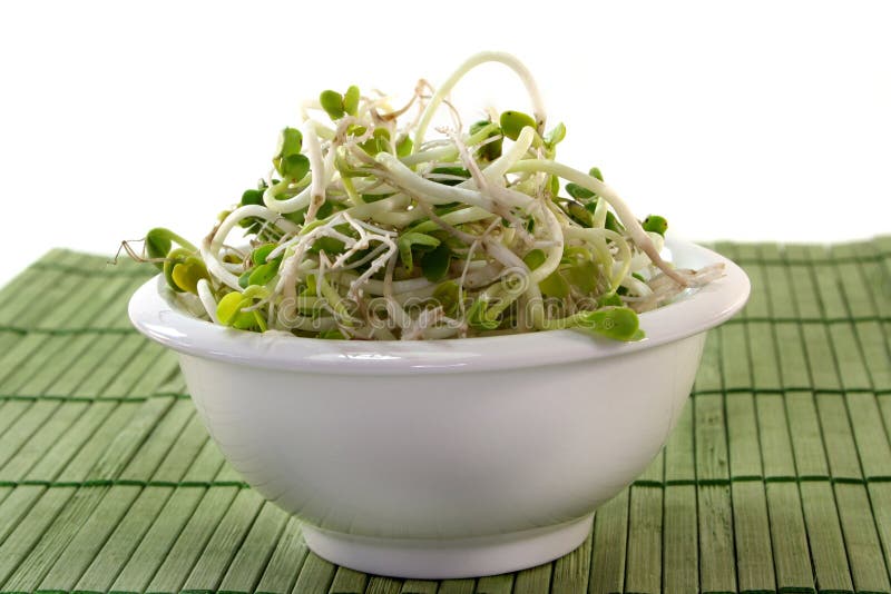 Radish sprouts stock photo. Image of ingredient, elements - 18052352
