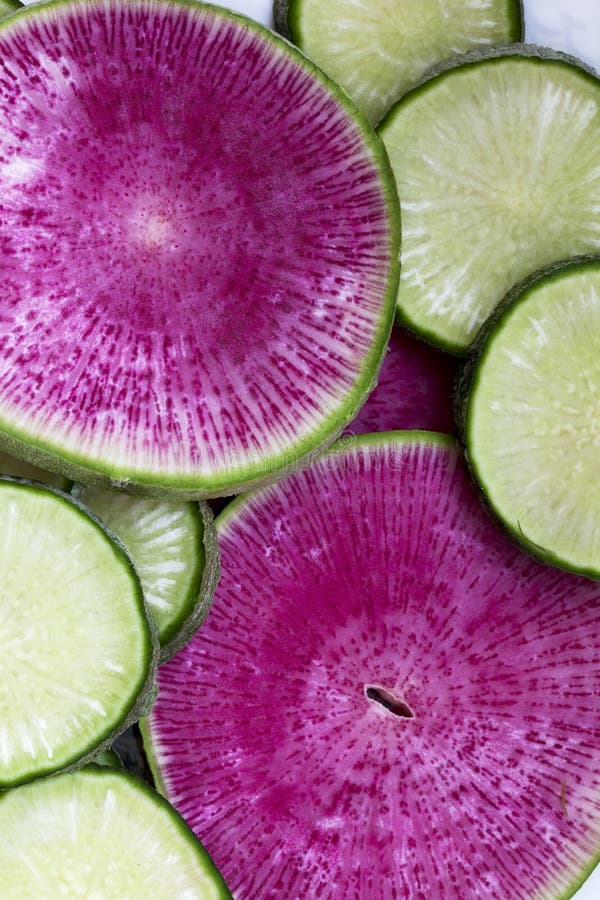 Radish stock image. Image of fresh, radish, nature, circles - 36469801
