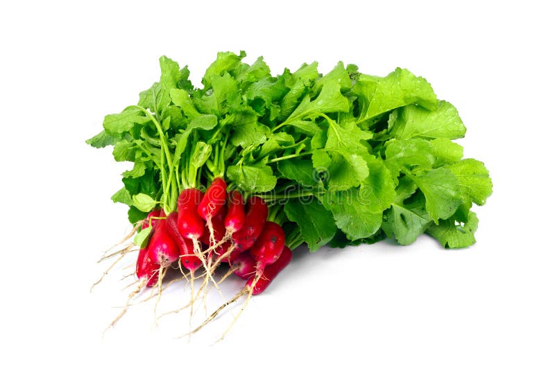 Radish on a White Background Stock Image - Image of agriculture, health ...