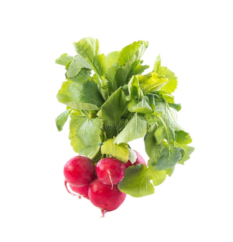 Radish on white background stock image. Image of radish - 67782581