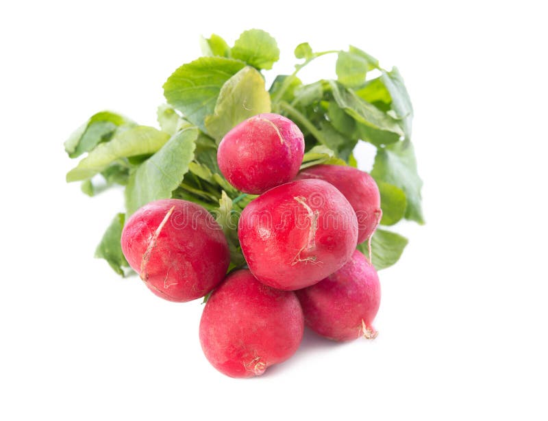 Radish on white background stock image. Image of radish - 67782581