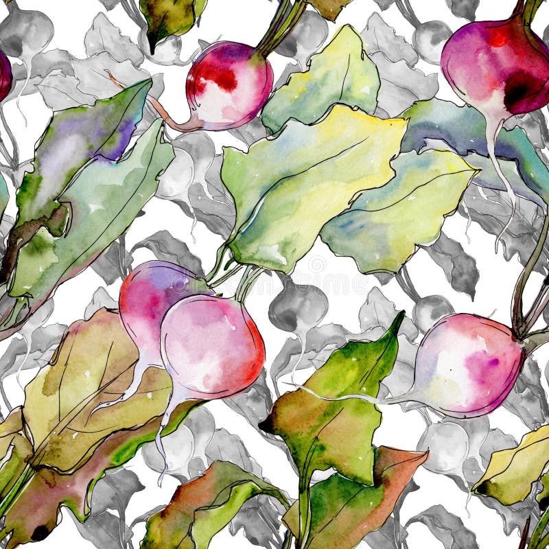 Hand Drawn Vegetables Name Stock Illustrations – 303 Hand Drawn ...