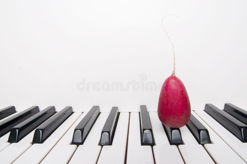 In the vineyard stock image. Image of country, wine, season - 6009669