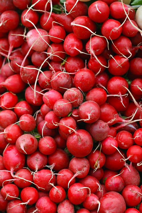 Radishes stock photo. Image of stall, bunch, vegetables - 33708522