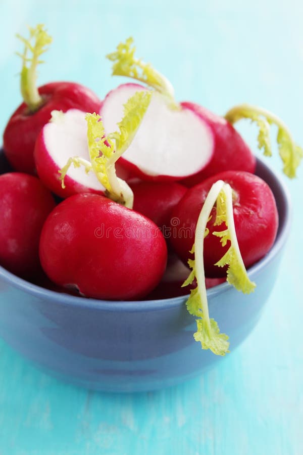 Radishes in a bowl stock photo. Image of heap, garden - 43604952