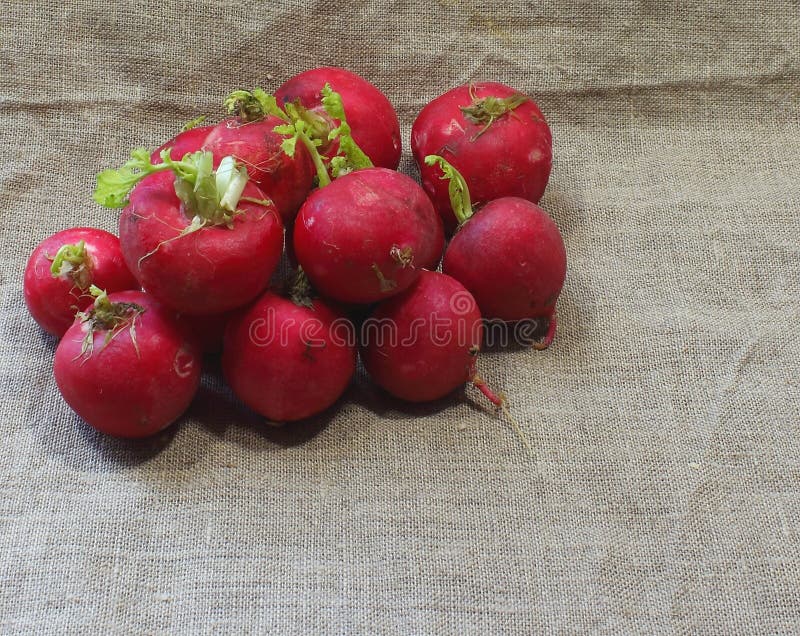 Radishes stock image. Image of vegetables, natural, radish - 52377491