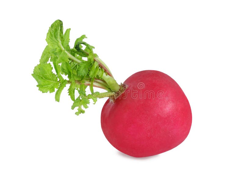 Radishes with Leaves Isolated on White Background Stock Photo - Image ...