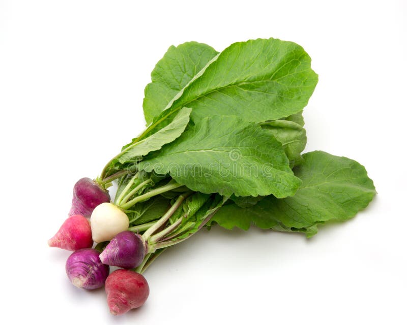 Radishes with Leaves in a White Background Stock Image - Image of ...