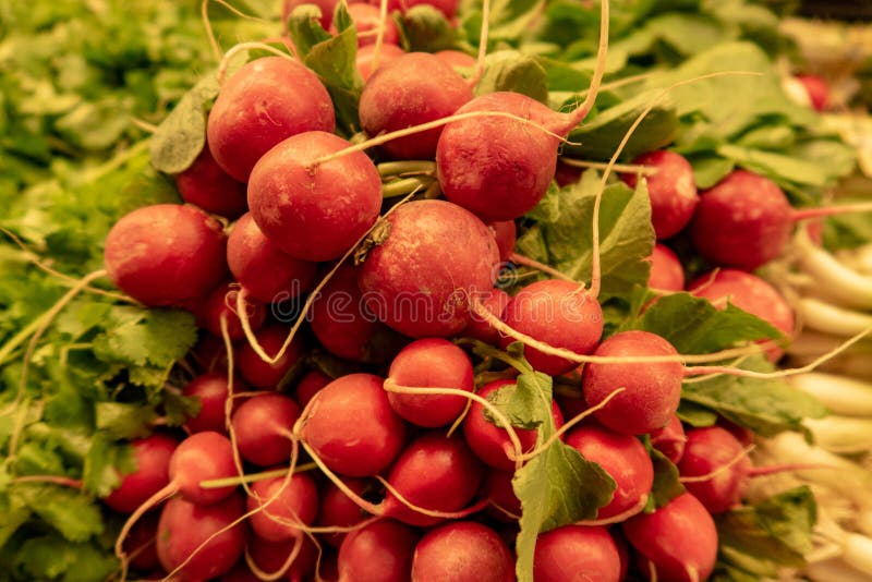 Radishes at a Local Grocery Store Stock Image - Image of product, local ...