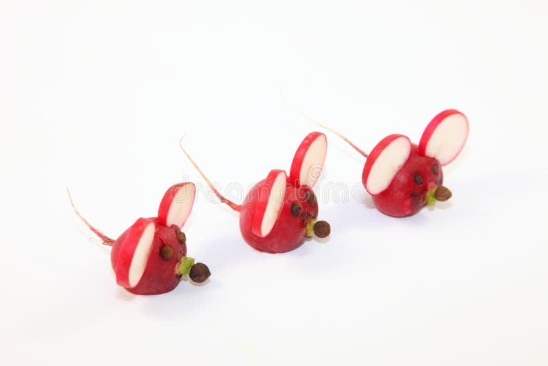 Radishes - mouse stock image. Image of funny, fruit, kindergarten ...