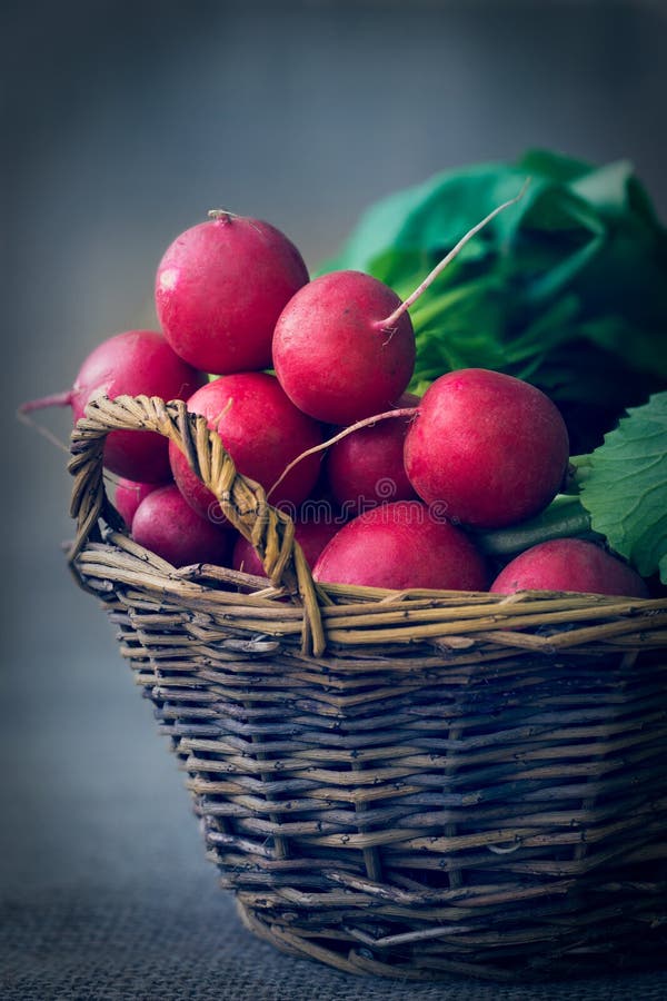 Radishes stock image. Image of bundle, spring, diet, leaf - 57989773