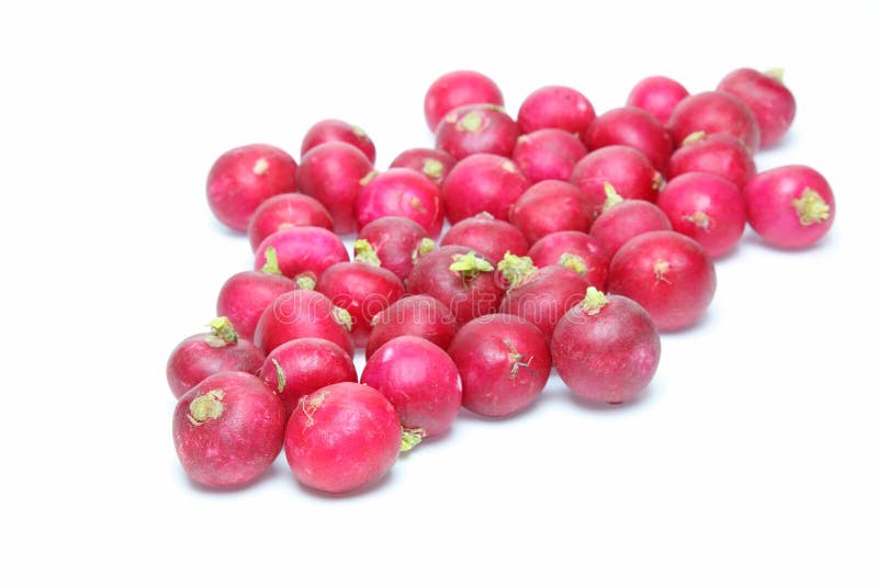 Radishes in a White Background Stock Photo - Image of food, vegetable ...