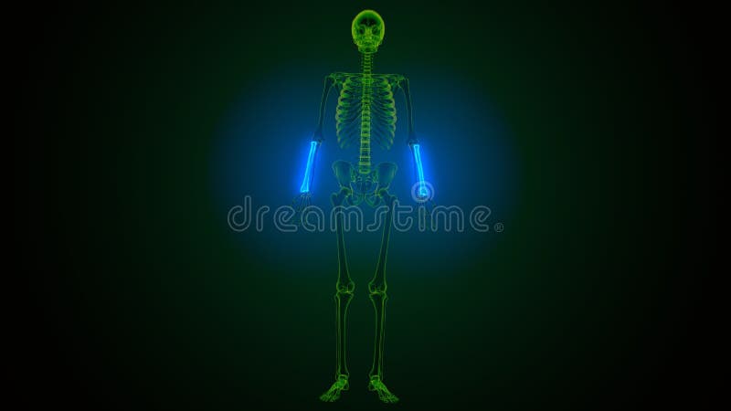 Bot Side Stock Illustrations – 192 Bot Side Stock Illustrations ...