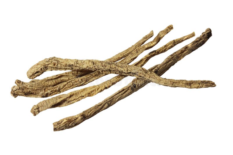 Red Ginseng stock photo. Image of panex, angelica, korean - 6445466