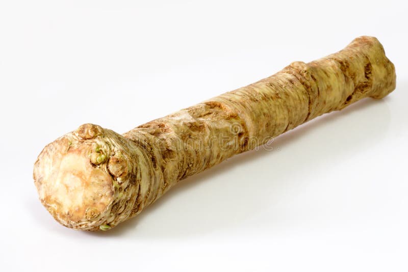 Rafano immagine stock. Immagine di grezzo, sapore, cucina - 3968229