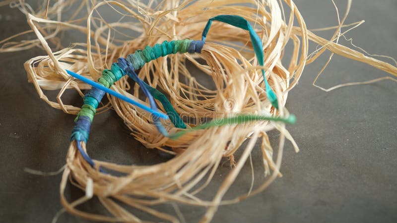Raffia for Aboriginal Weaving Stock Photo - Image of maker, rustic ...