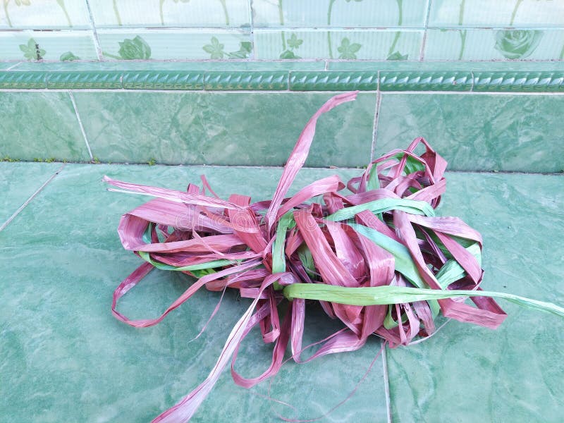 Raffia rope stock photo. Image of lilac, violet, food - 231413658