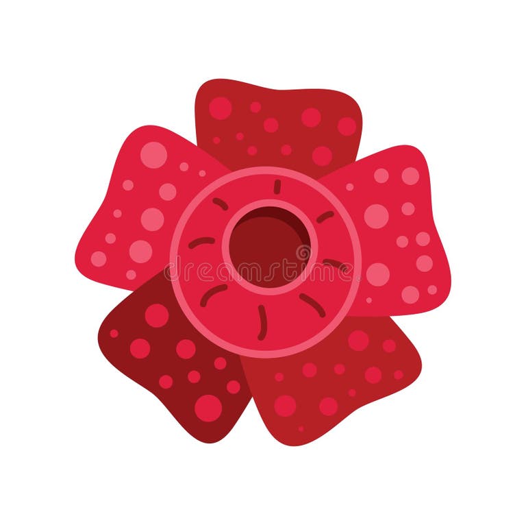 Rafflesia Arnoldii Flower Blooming with Five Petals Stock Illustration ...