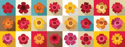 Rafflesia Stock Illustrations – 314 Rafflesia Stock Illustrations ...