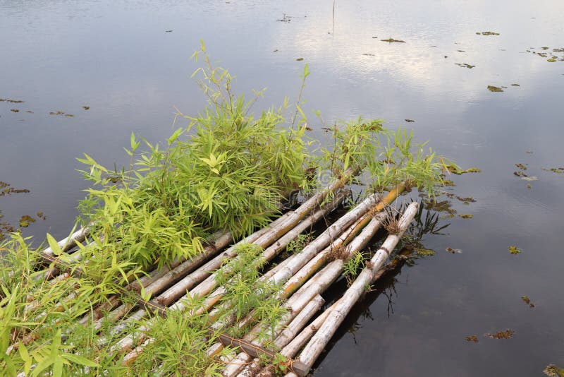 A Raft Made of Bamboo at a Lake Tourist Spot Stock Photo - Image of ...
