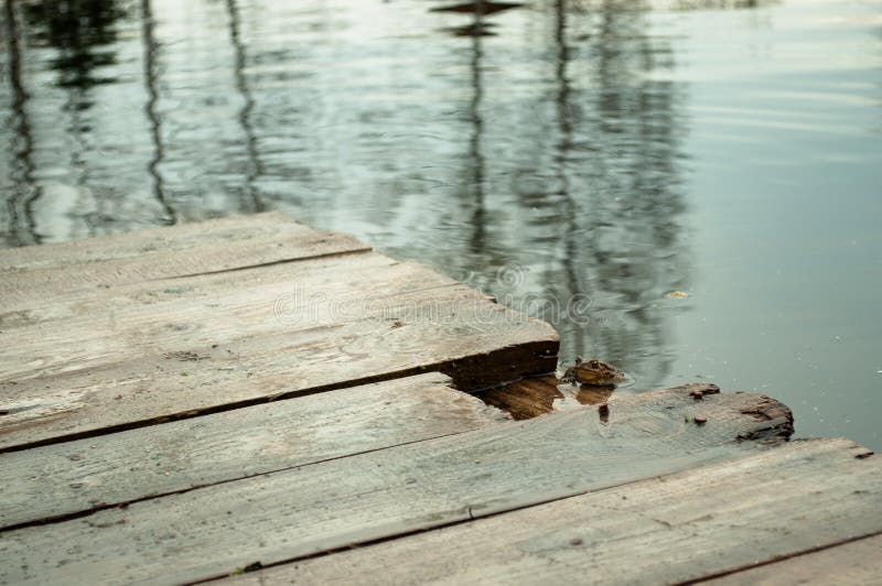 Raft on the Pond with a Frog on Board Stock Image - Image of concepts ...