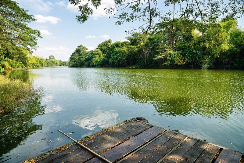 Raft and Trees by the River Stock Photo - Image of barge, khonkaen ...