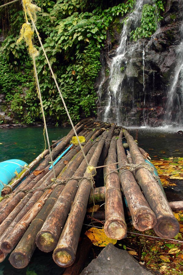 Tropical Jungle with Tree, Raft and Waterfall Stock Image - Image of ...