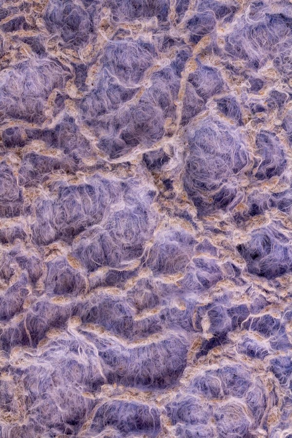 Rag Color Purple Dirty Old Cloth Texture Stock Image - Image of pattern ...