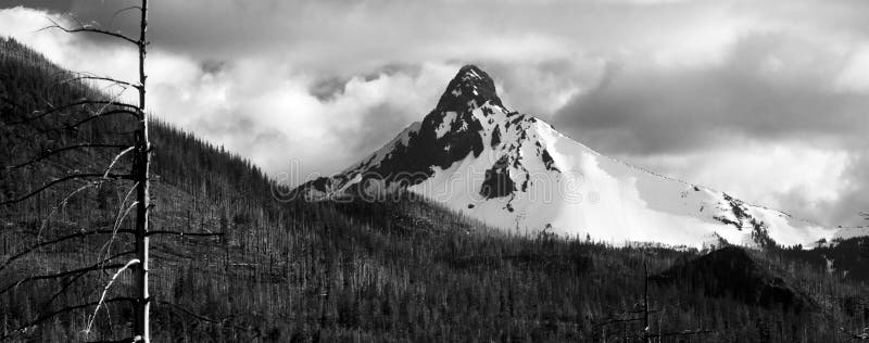 Ragged Burned Mountain Peak Mt. Washington Oregon Cascade Range Stock ...