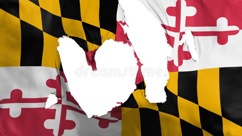 Checkered Flag Torn Stock Illustrations – 98 Checkered Flag Torn Stock ...