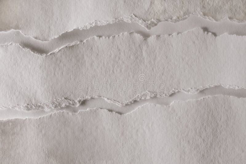 Blank ragged paper texture stock image. Image of ragged - 103385329